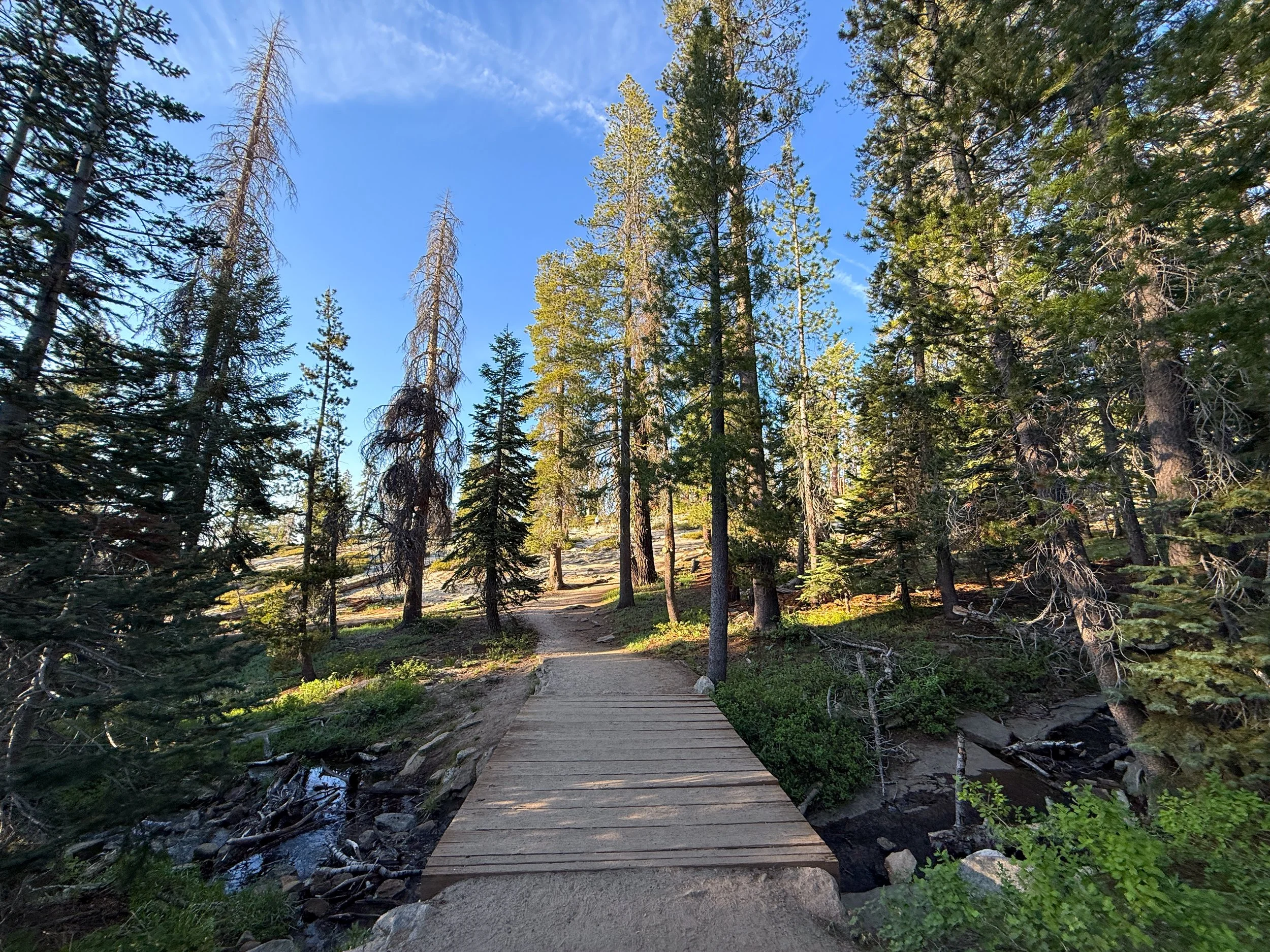 Hiking the Sentinel Dome Trail in Yosemite National Park — noahawaii