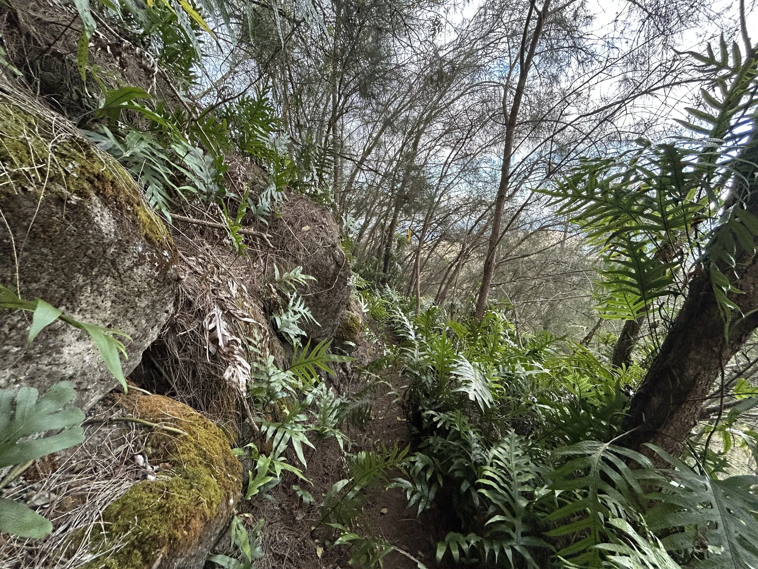 Hiking the Pyramid Rock Loop Trail on Oʻahu — noahawaii