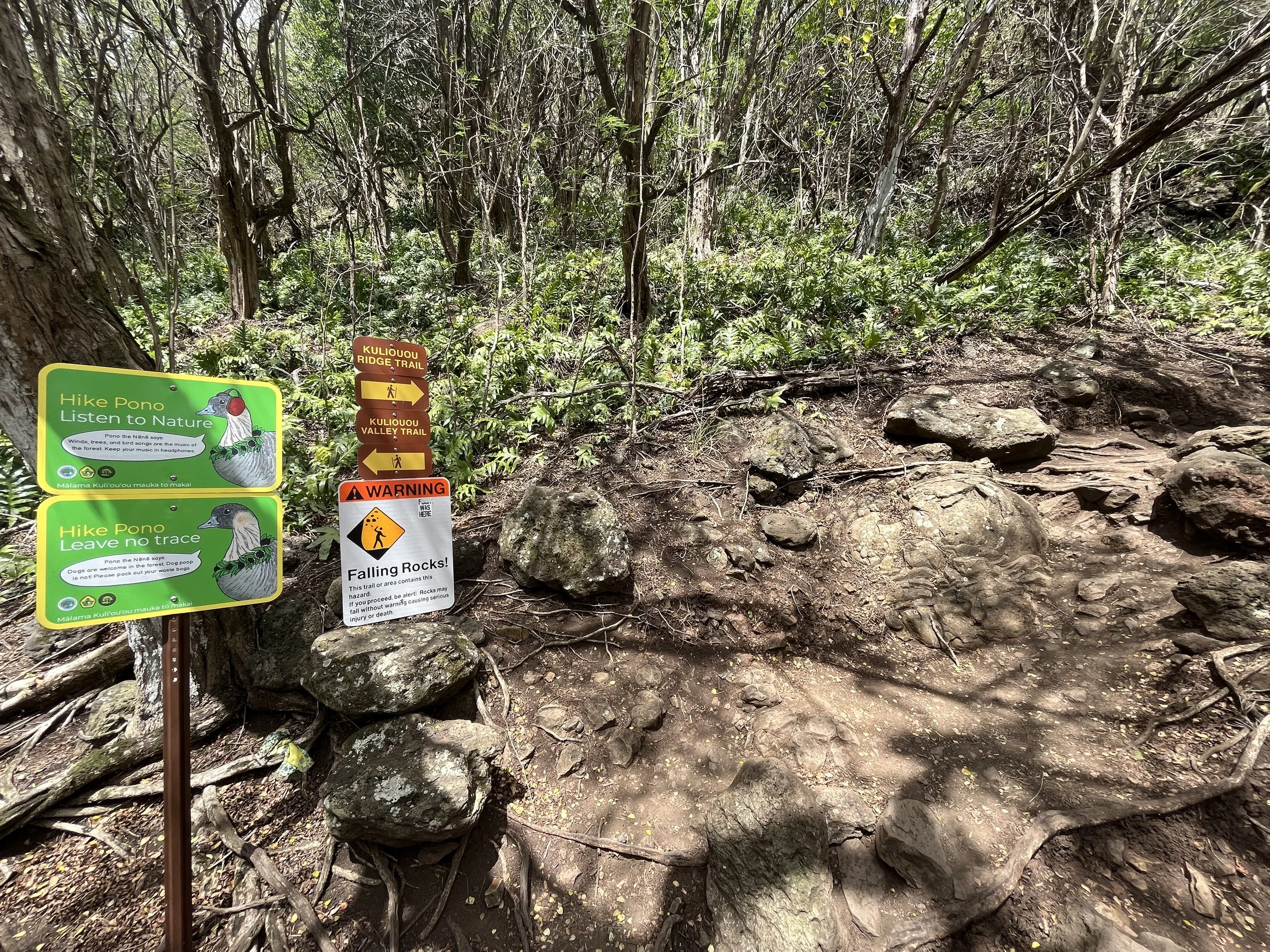 Hiking the Kuliʻouʻou Ridge Trail on Oʻahu — noahawaii