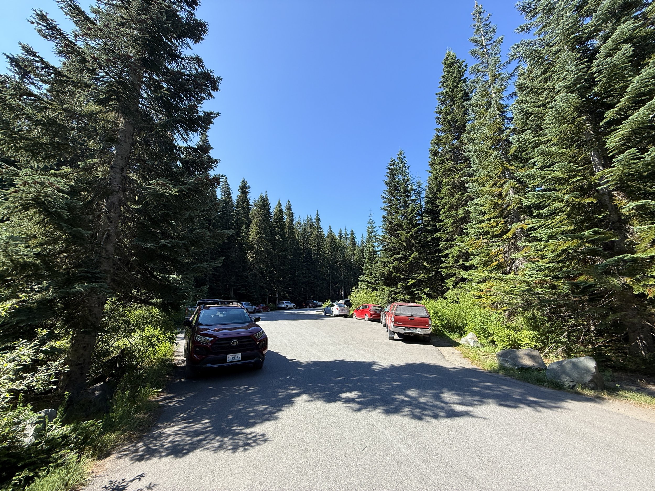 Climbing Mount Saint Helens via the Ptarmigan Trail & Monitor Ridge in ...