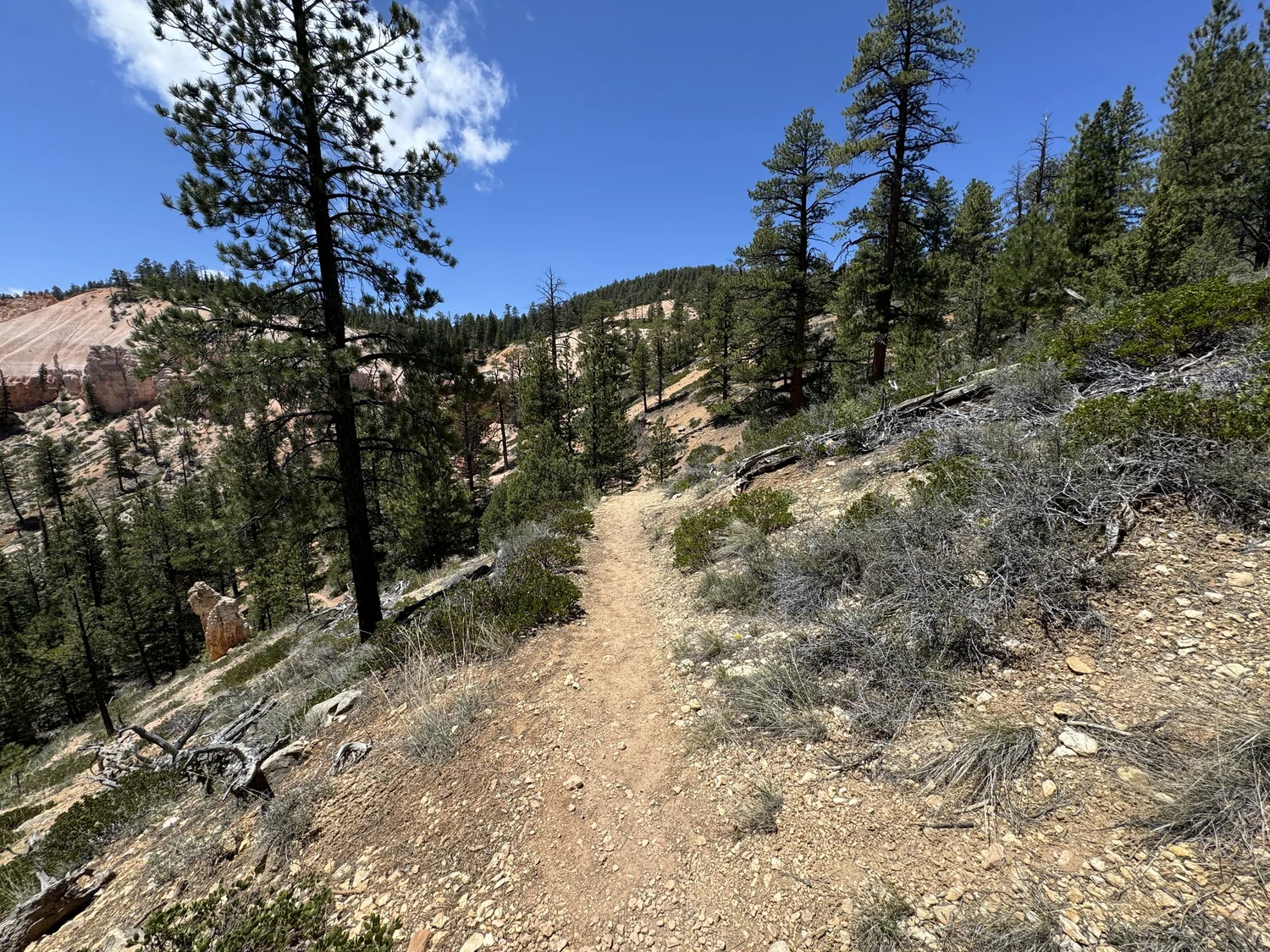 Hiking the Swamp Canyon Loop Trail in Bryce Canyon National Park ...