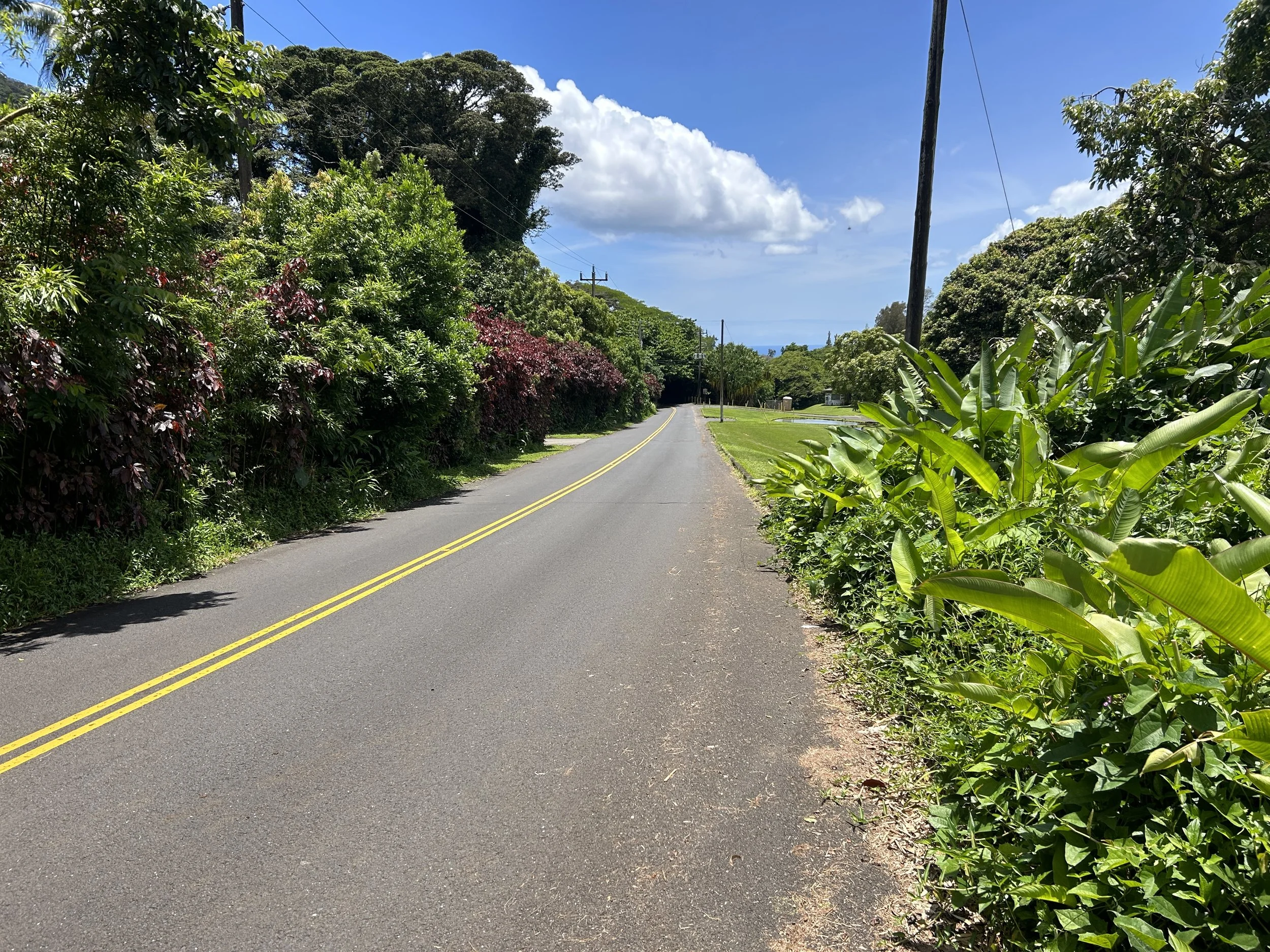 Hiking the Luakaha Falls Trail on Oʻahu, Hawaiʻi — noahawaii