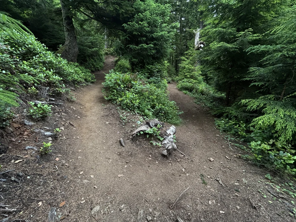 Hiking the Indian Beach Trail on the Oregon Coast — noahawaii