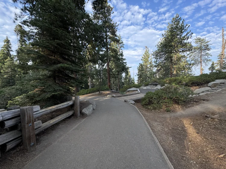 Hiking the Congress Trail in Sequoia National Park — noahawaii