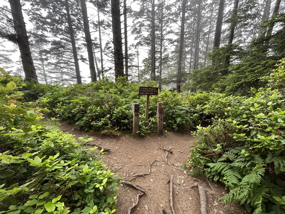 Hiking the Cape Falcon Trail on the Oregon Coast — noahawaii