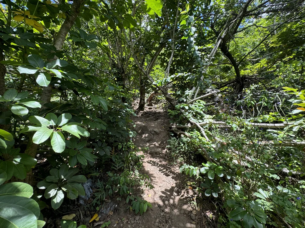 Hiking the Crouching Lion Trail on Oʻahu, Hawaiʻi — noahawaii