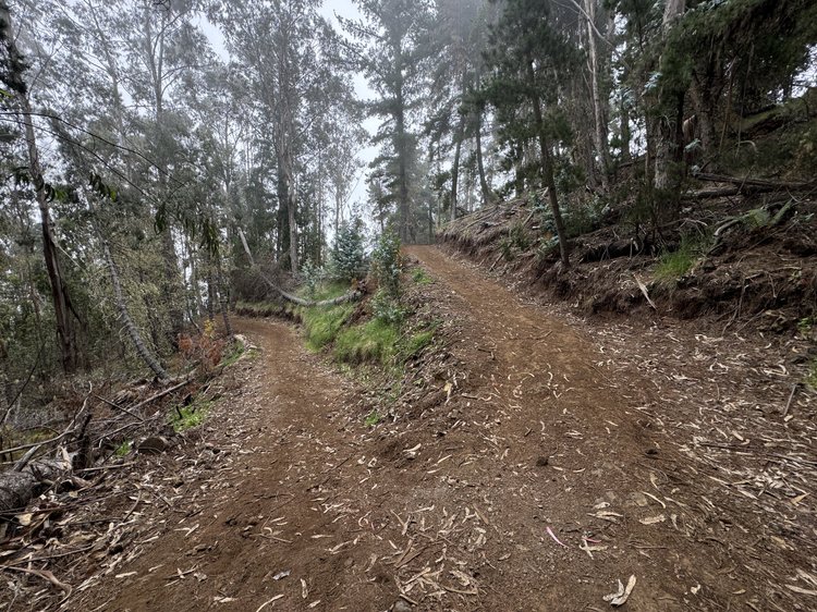 Hiking the Waiakoa Loop Trail on Maui, Hawaiʻi — noahawaii