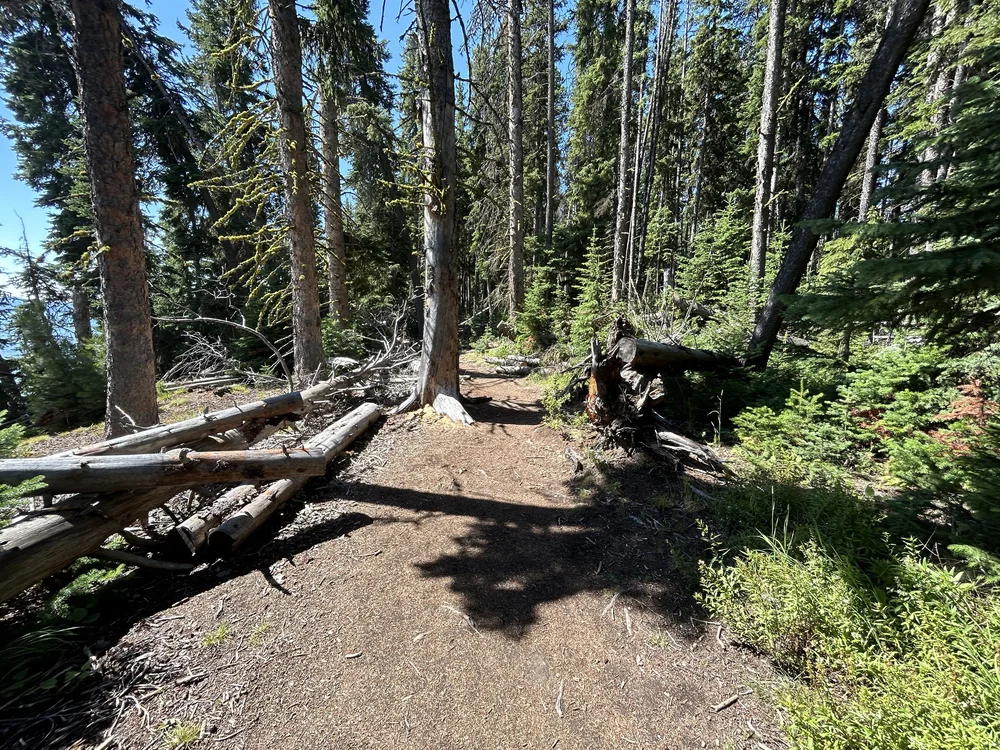 Hiking the Storm Point Trail in Yellowstone National Park — noahawaii