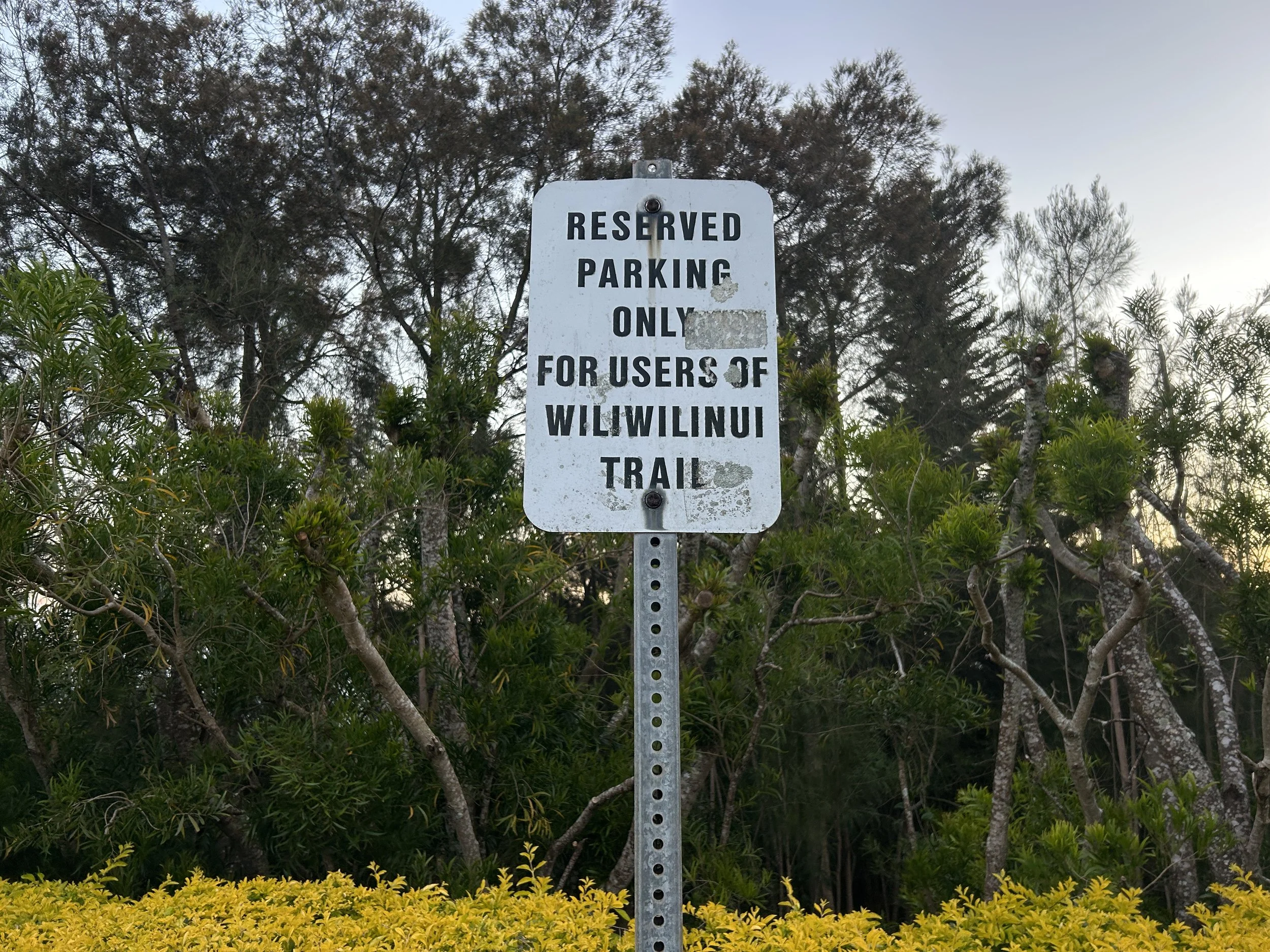 Hiking the Wiliwilinui Ridge Trail on Oʻahu, Hawaiʻi — noahawaii