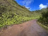 Hiking the Poamoho Trail on Oʻahu, Hawaiʻi — noahawaii