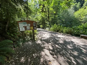 Hiking the Redwood Nature Trail on the Oregon Coast — noahawaii