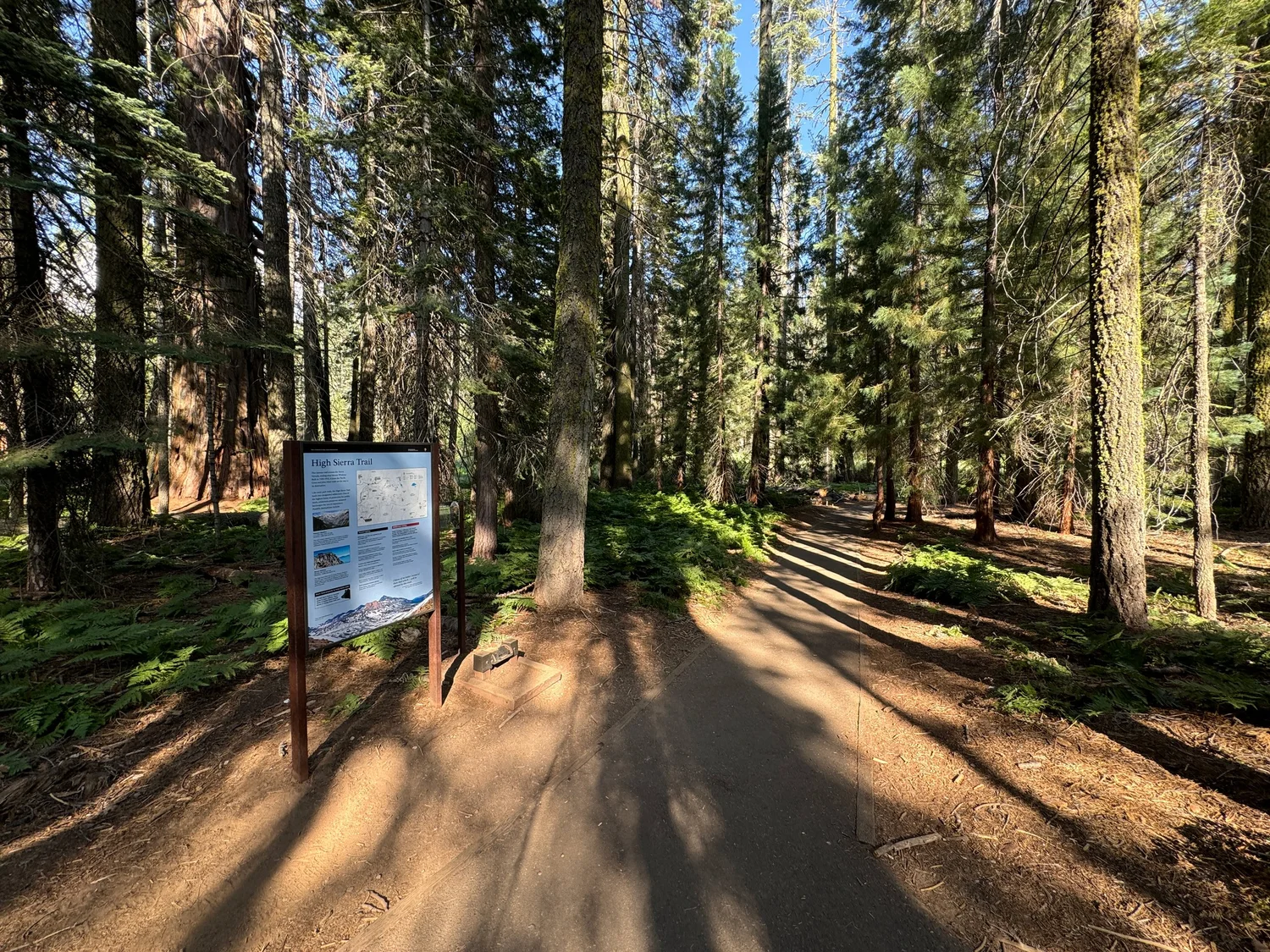 Hiking the Tharp’s Log Trail (Log Meadow Loop) in Sequoia National Park ...