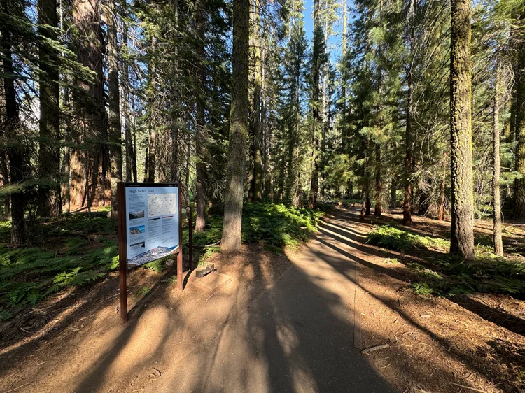 Hiking the Tharp’s Log Trail (Log Meadow Loop) in Sequoia National Park ...