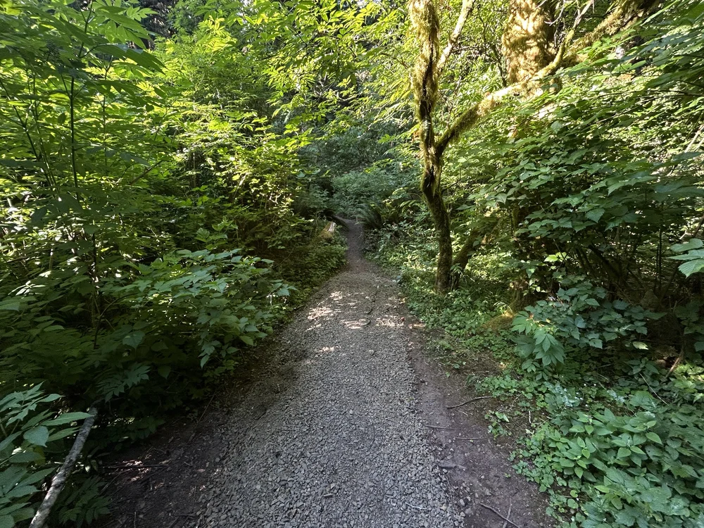 Hiking the Lower Cascade Head Trail on the Oregon Coast — noahawaii