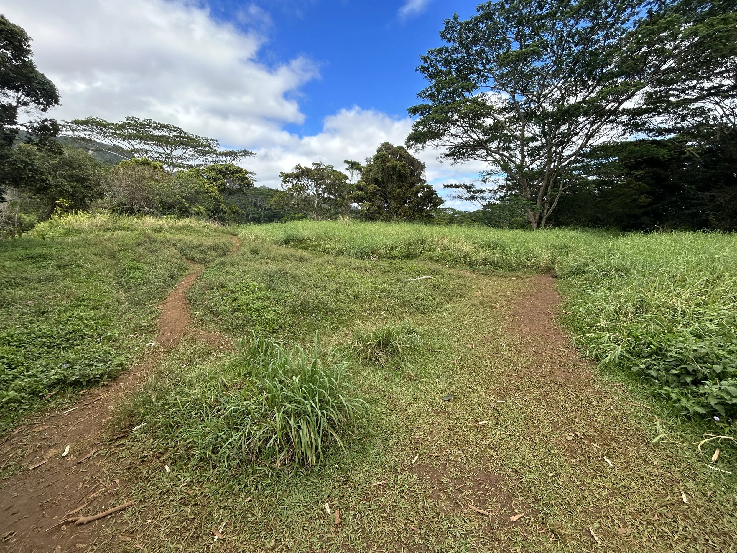Hiking the Kuilau Ridge Trail on Kauaʻi, Hawaiʻi — noahawaii