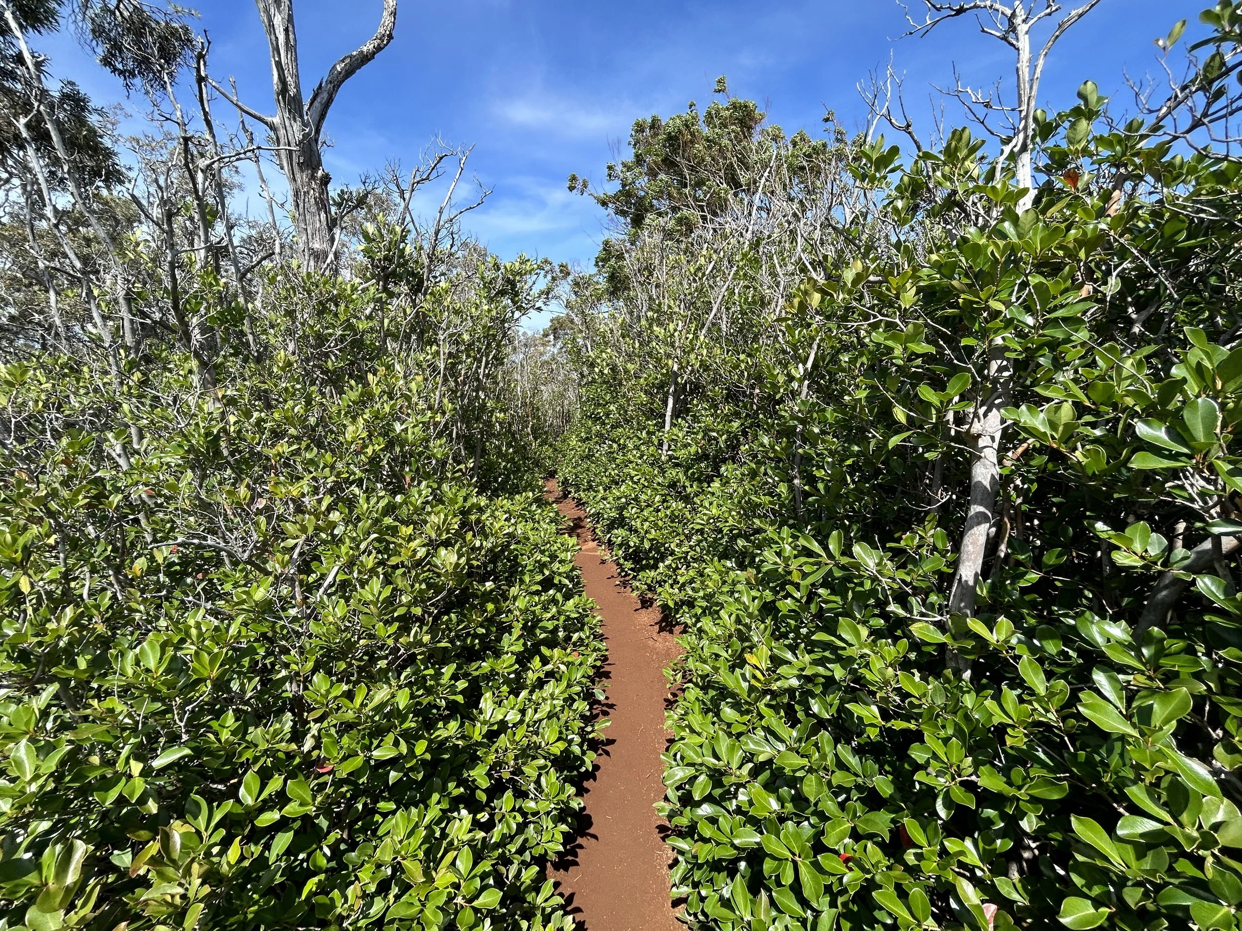 Hiking the Kalauao Falls Loop Trail on Oʻahu, Hawaiʻi — noahawaii