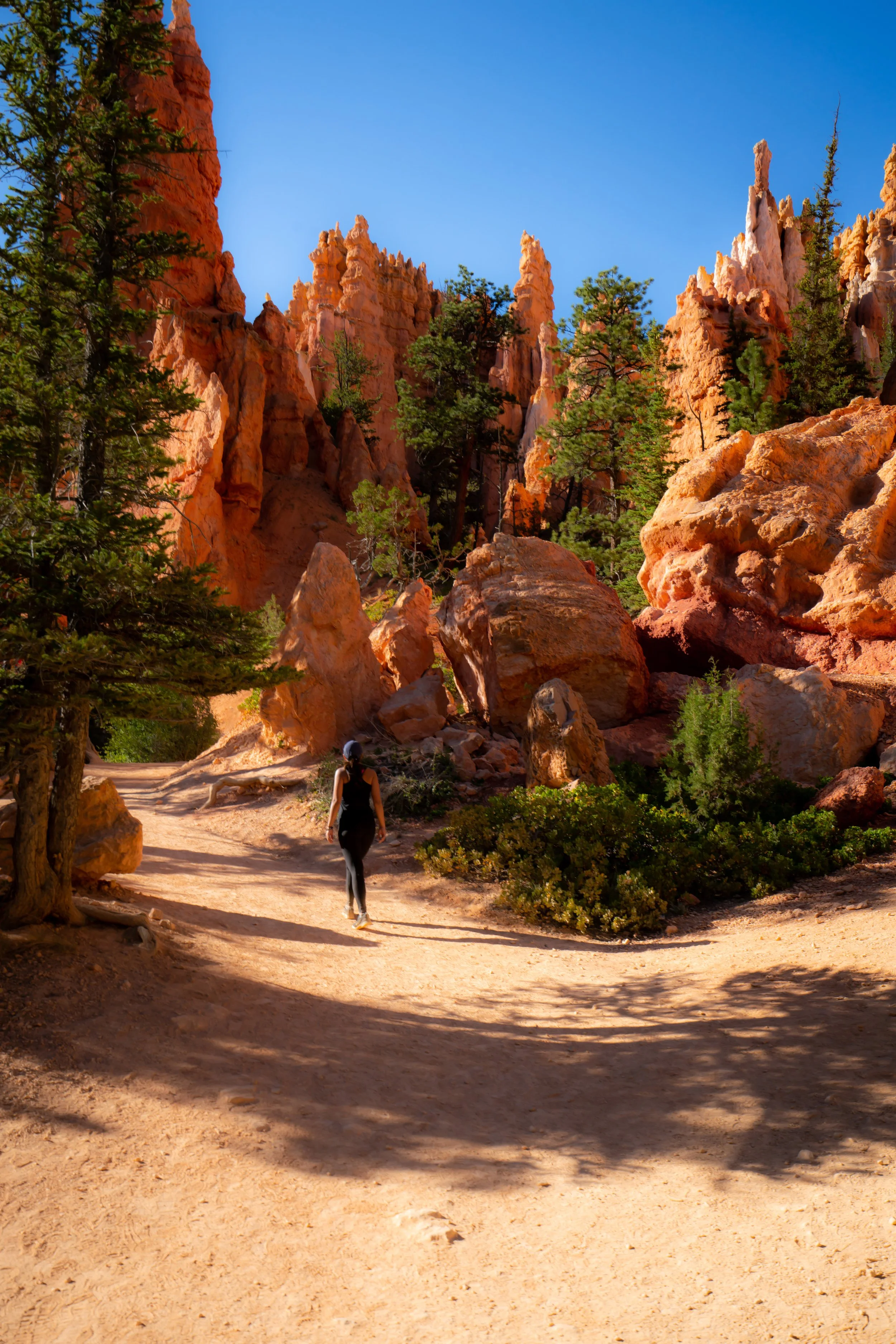 Hiking the Navajo Loop Trail in Bryce Canyon National Park — noahawaii