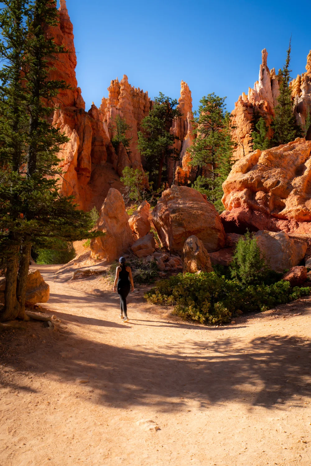 Hiking the Navajo Loop Trail in Bryce Canyon National Park — noahawaii