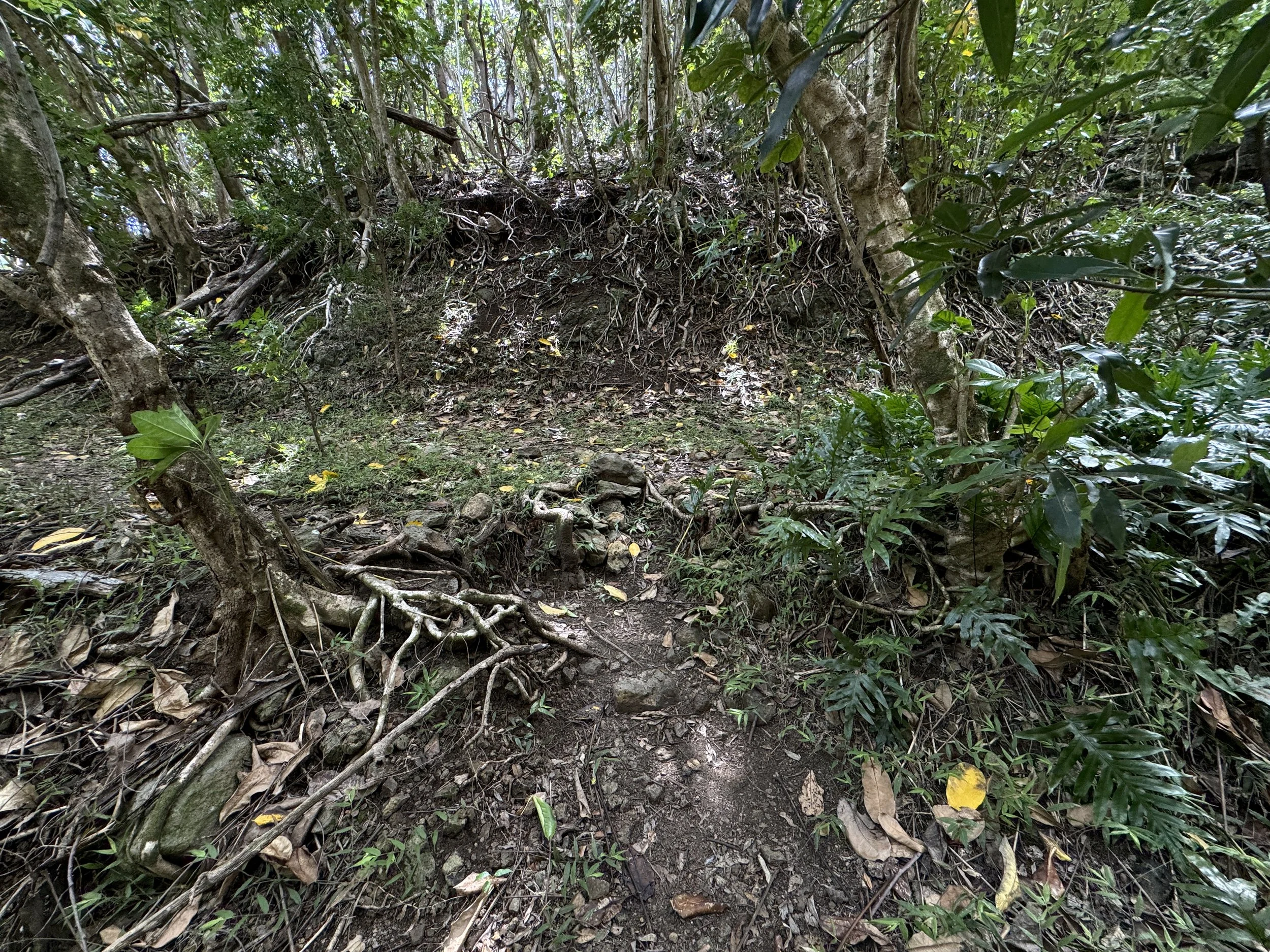 Hiking the Pyramid Rock Loop Trail on Oʻahu, Hawaiʻi — noahawaii