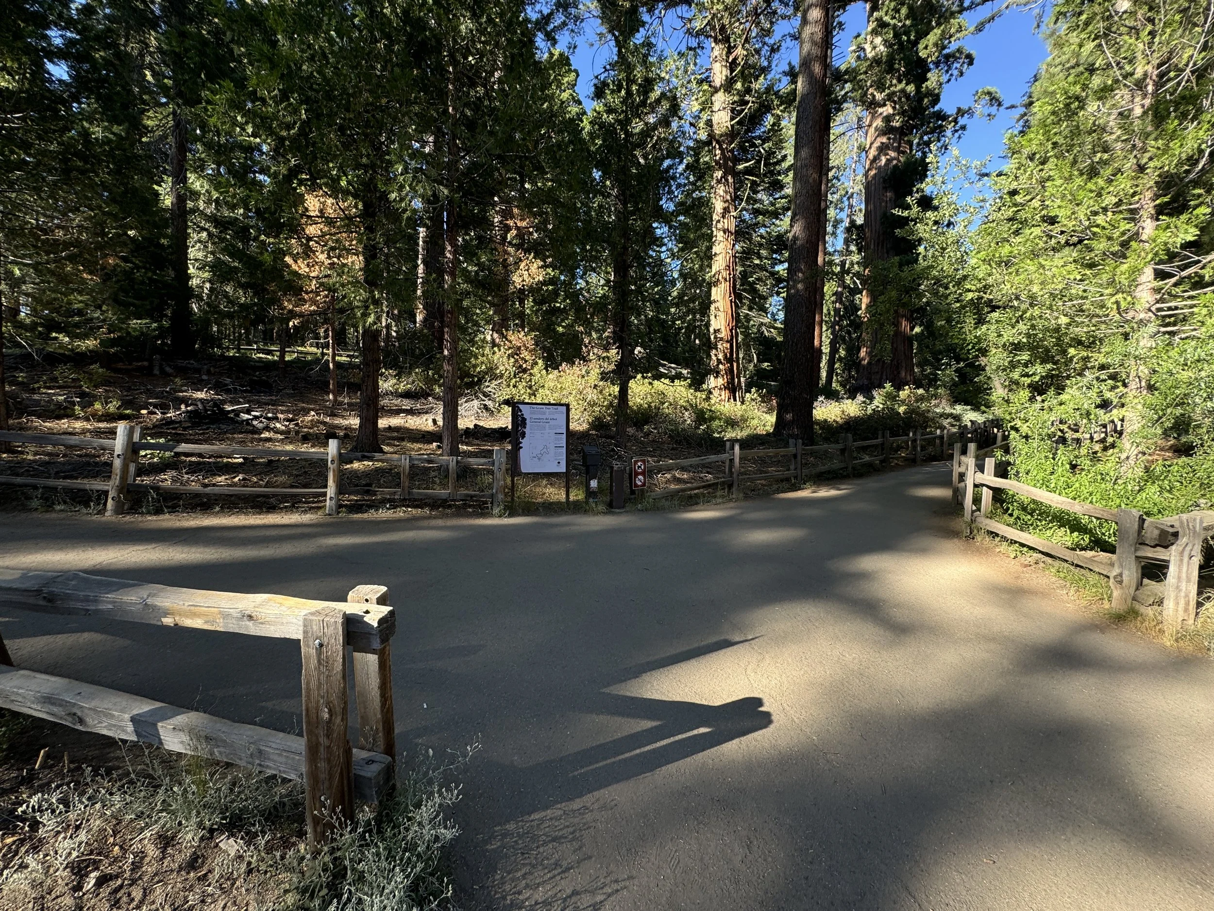 Hiking the General Grant Tree Trail in Kings Canyon National Park ...