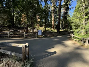 Hiking the General Grant Tree Trail in Kings Canyon National Park ...