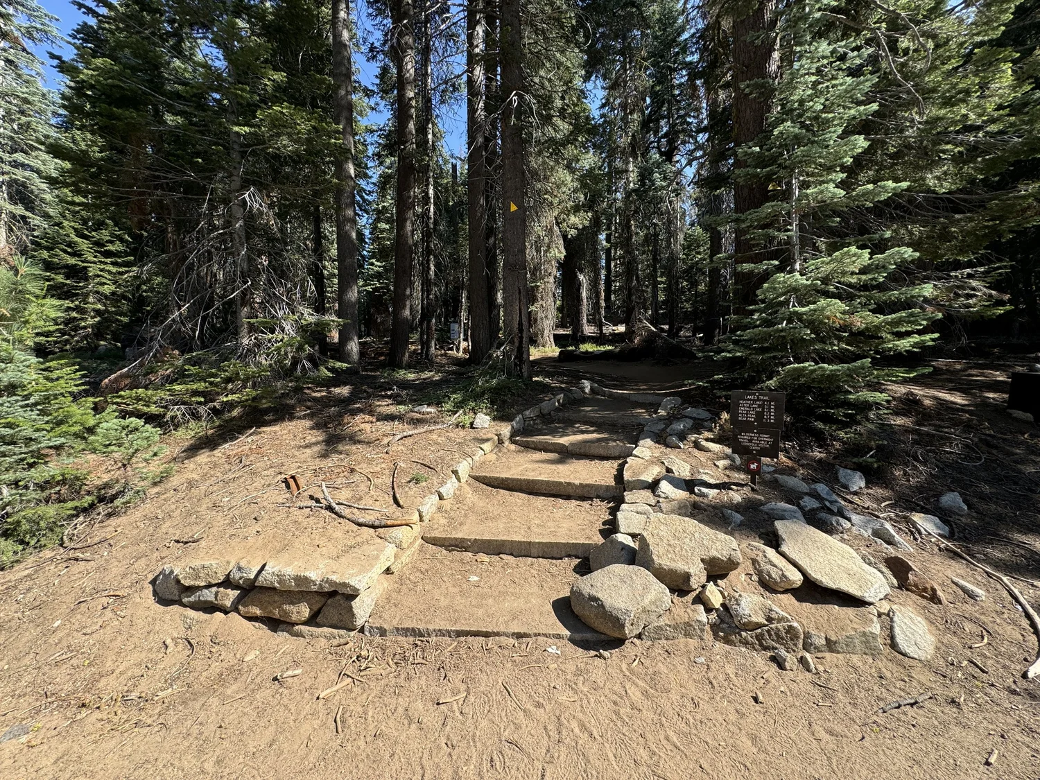 Hiking the Long Meadow Loop Trail in Sequoia National Park — noahawaii
