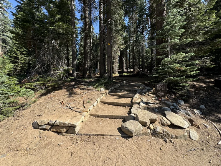 Hiking the Long Meadow Loop Trail in Sequoia National Park — noahawaii