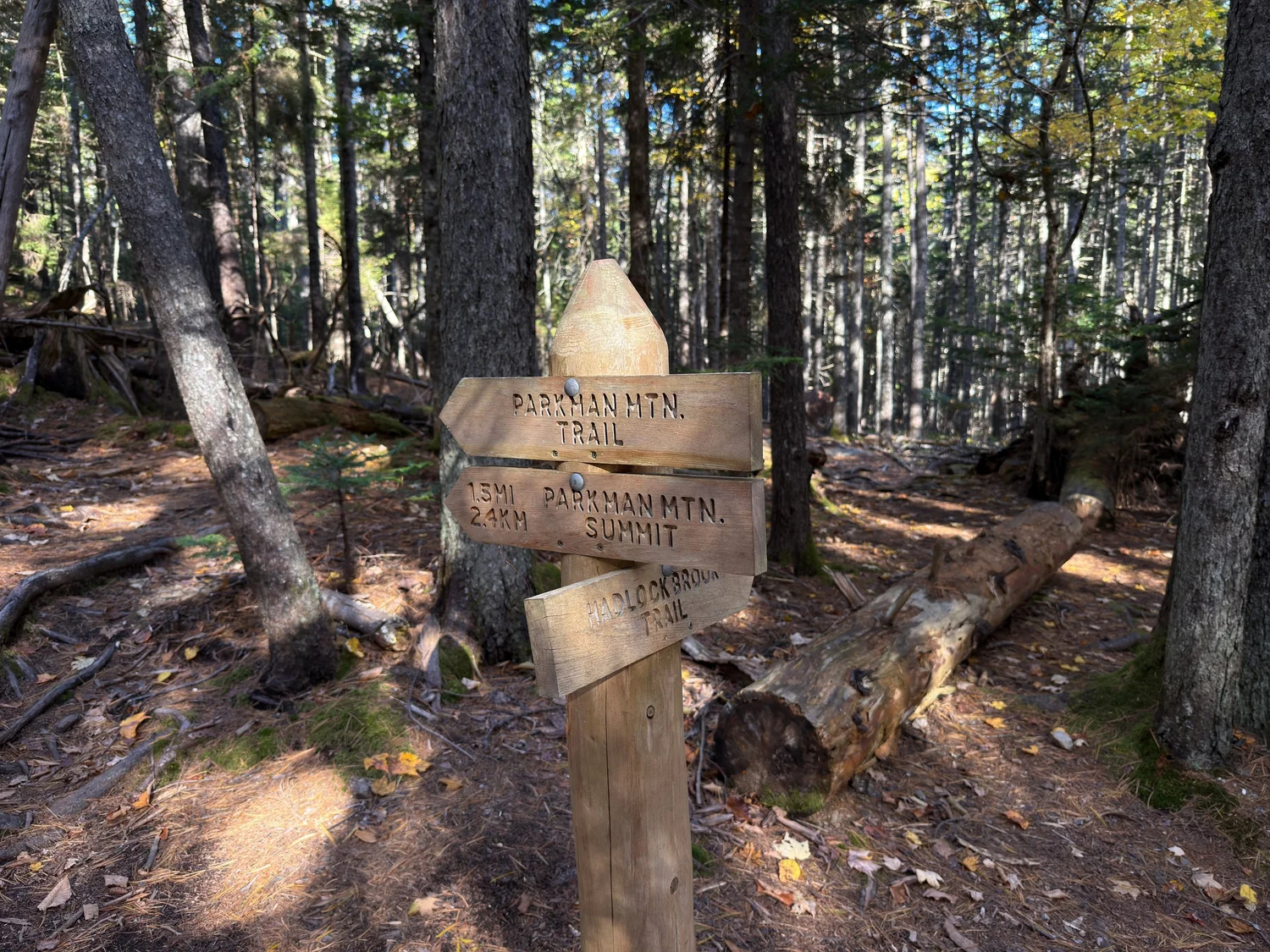 Hiking the Hadlock Ponds Loop Trail in Acadia National Park — noahawaii
