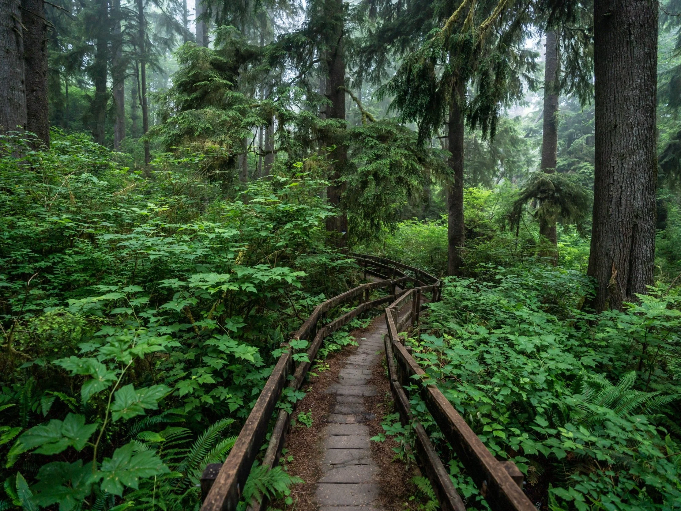 Hiking the Cathedral Tree Trail to the Astoria Column on the Oregon ...