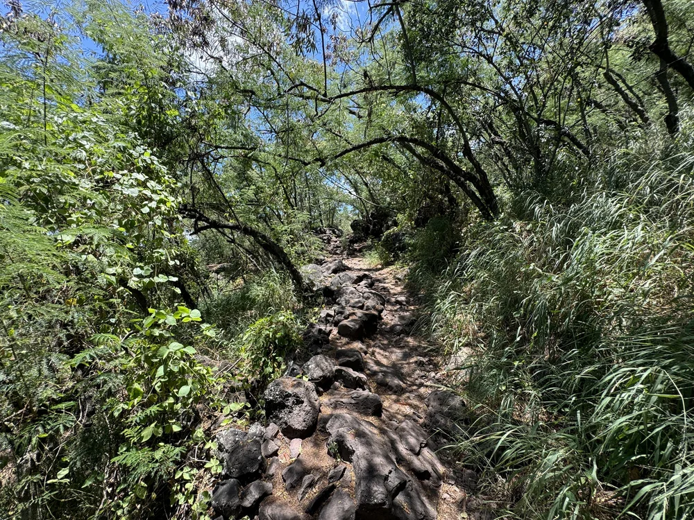 Hiking the Keālia Trail on Oʻahu's North Shore — noahawaii