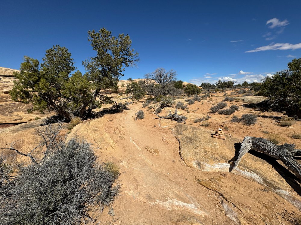 Hiking the Slickrock Trail in Canyonlands National Park — noahawaii