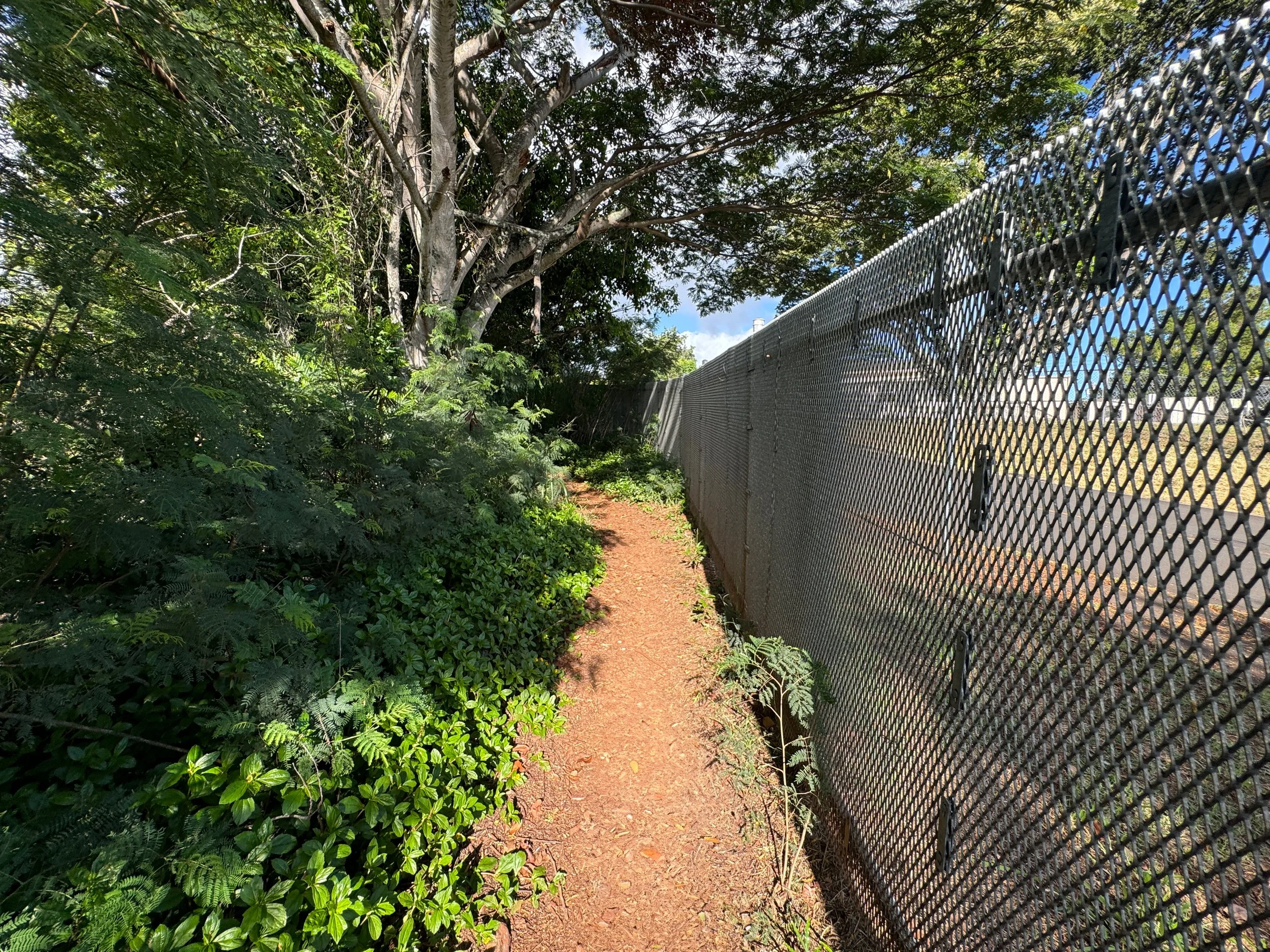 Hiking the Waimano Ridge Trail on Oʻahu, Hawaiʻi — noahawaii