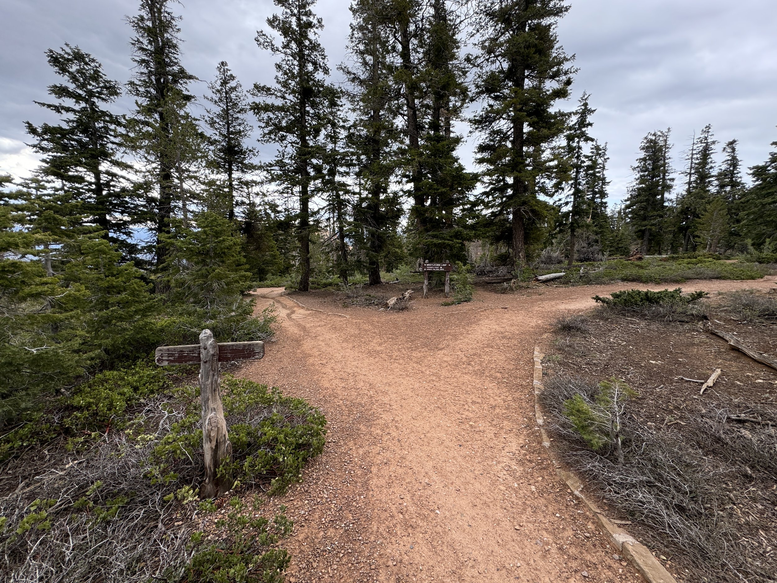 Hiking the Riggs Spring Loop Trail in Bryce Canyon National Park ...