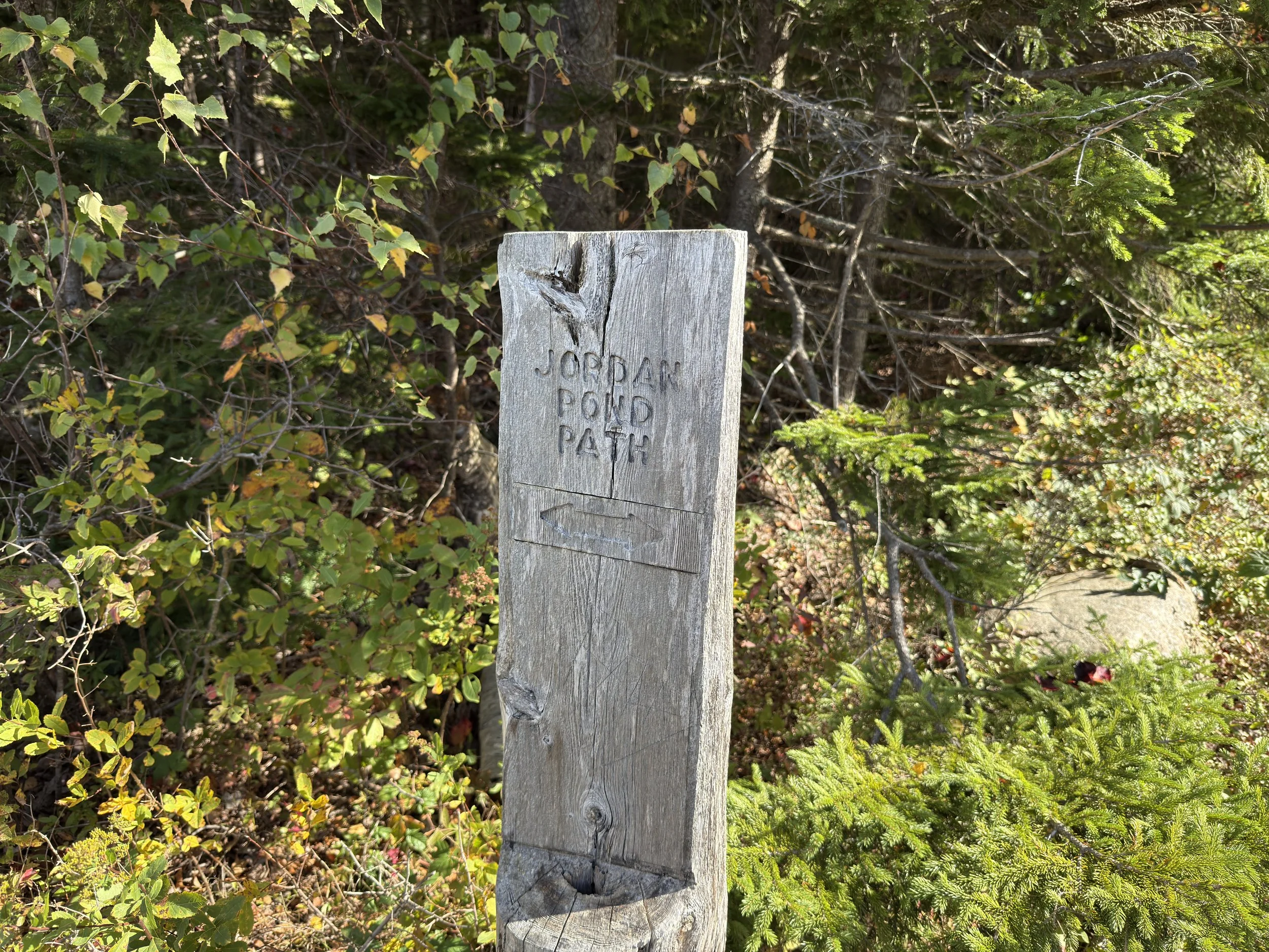 Hiking the Jordan Pond Path in Acadia National Park — noahawaii
