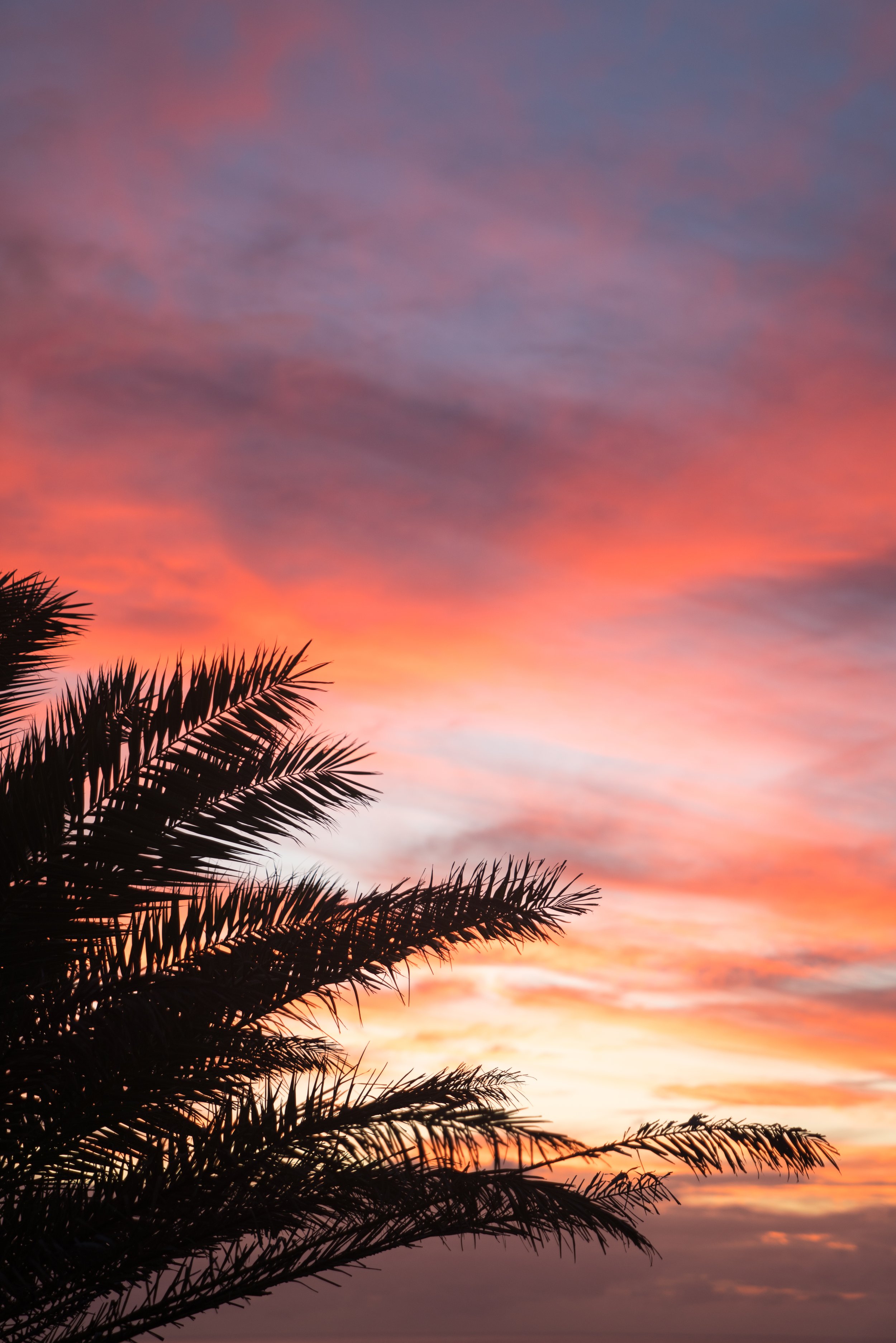 Hiking the ʻEhukai Pillbox Trail on Oʻahu — noahawaii