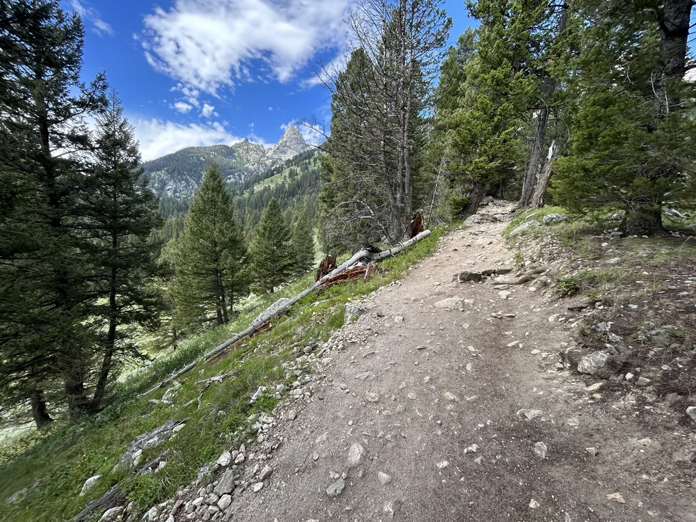Hiking the Delta Lake Trail via Lupine Meadows in Grand Teton National ...