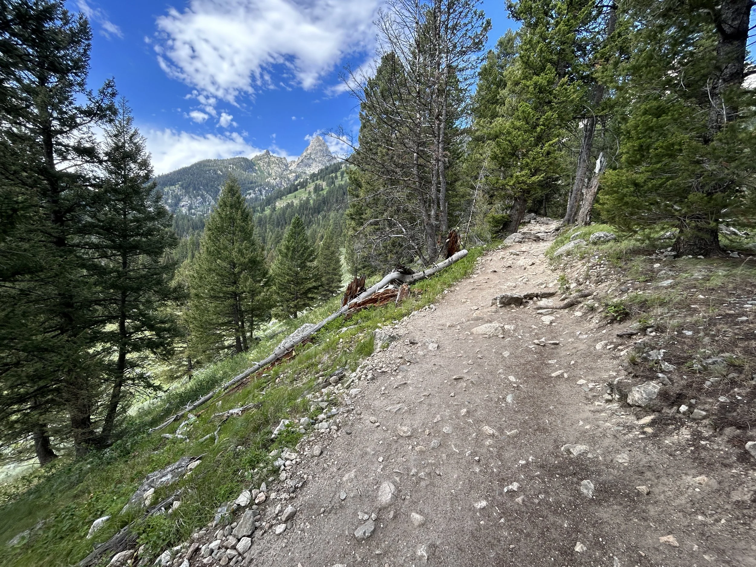 Hiking the Delta Lake Trail via Lupine Meadows in Grand Teton National ...
