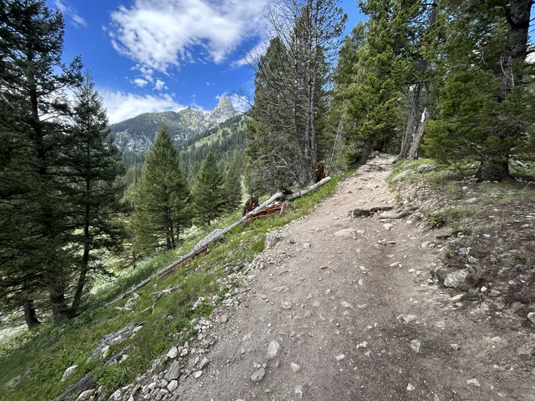 Hiking the Delta Lake Trail via Lupine Meadows in Grand Teton National ...