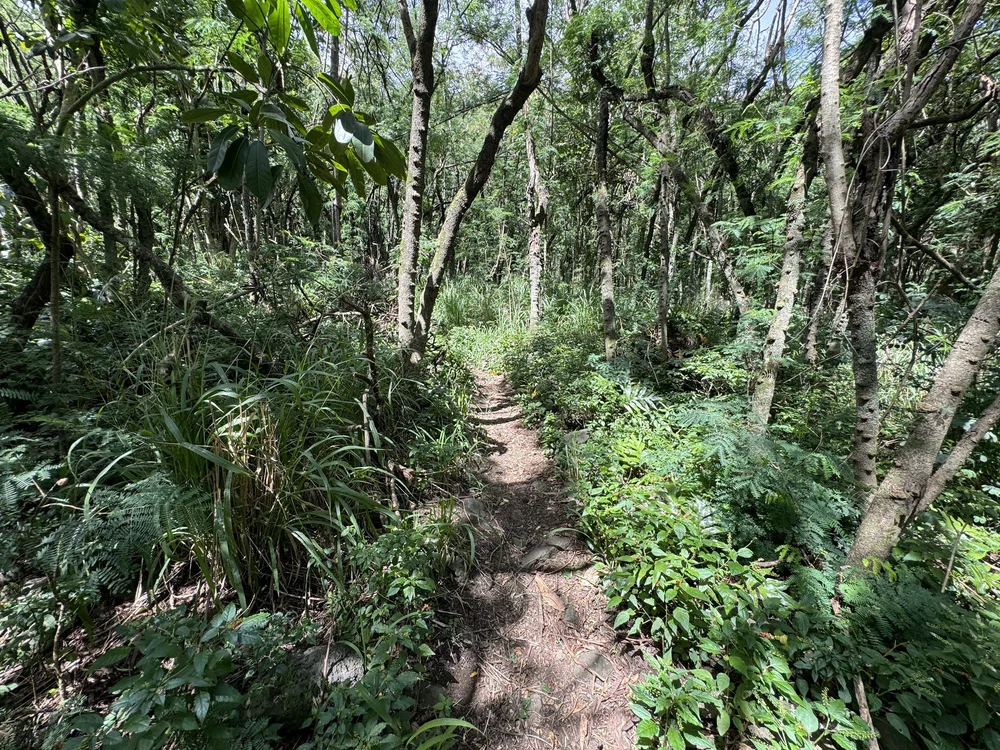 Hiking the Pyramid Rock Loop Trail on Oʻahu, Hawaiʻi — noahawaii