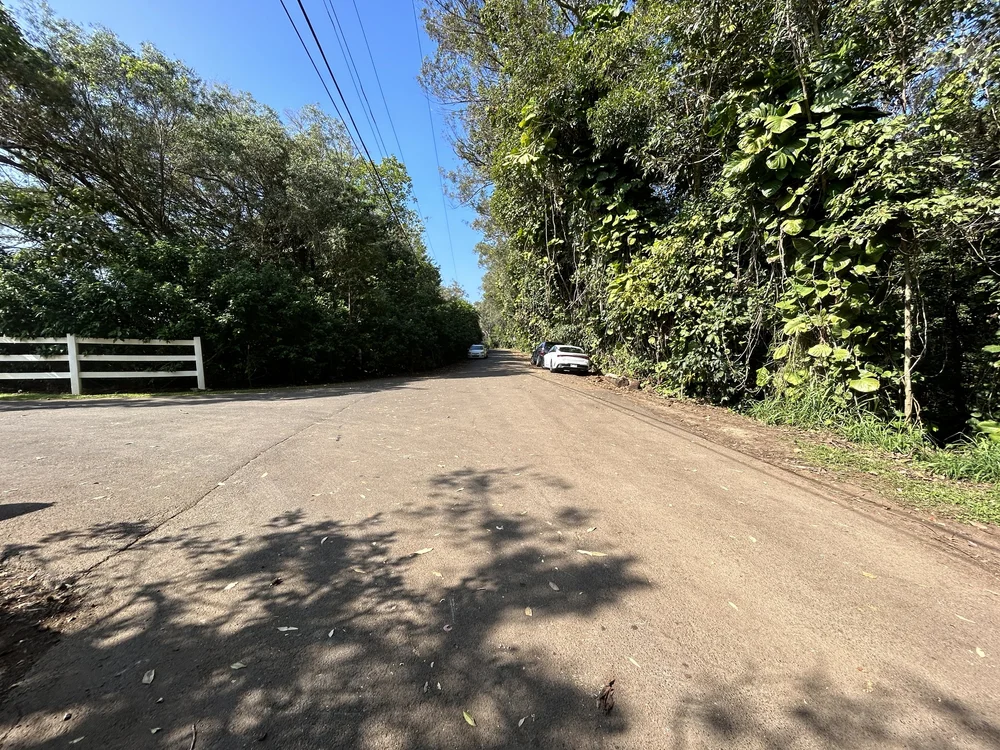 Hiking the Koʻolau Summit Trail (KST) North to South on Oʻahu, Hawaiʻi ...