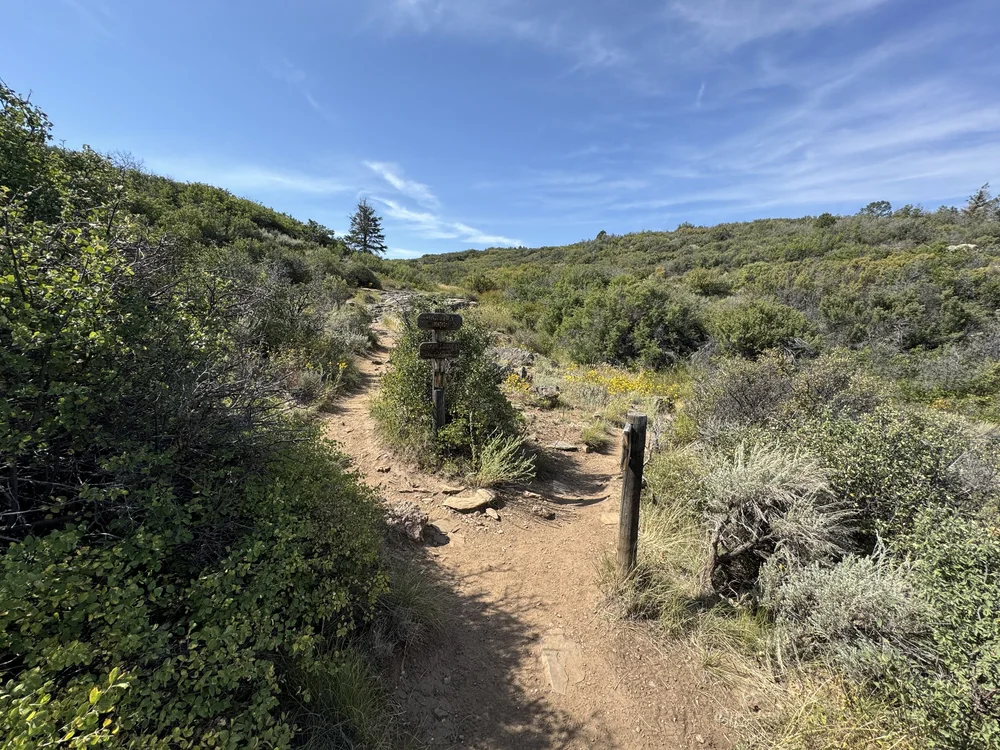 Hiking the Oak Flat Loop Trail in Black Canyon of the Gunnison National ...