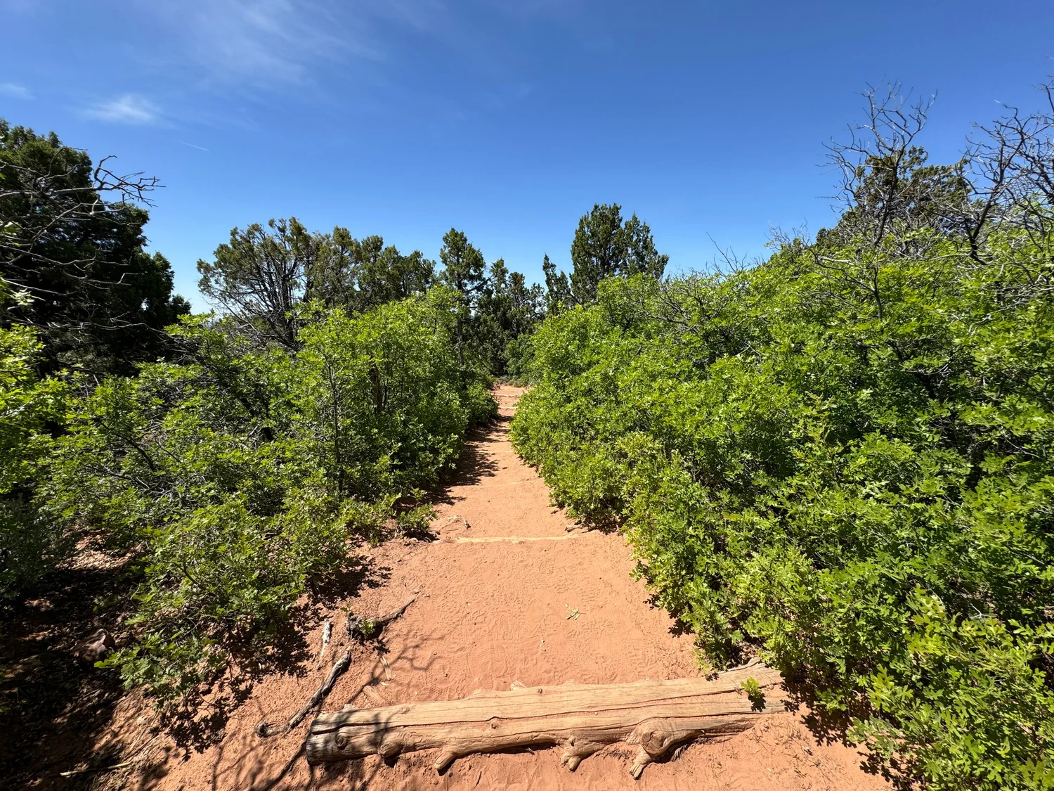 Hiking the Timber Creek Overlook Trail in Zion National Park — noahawaii