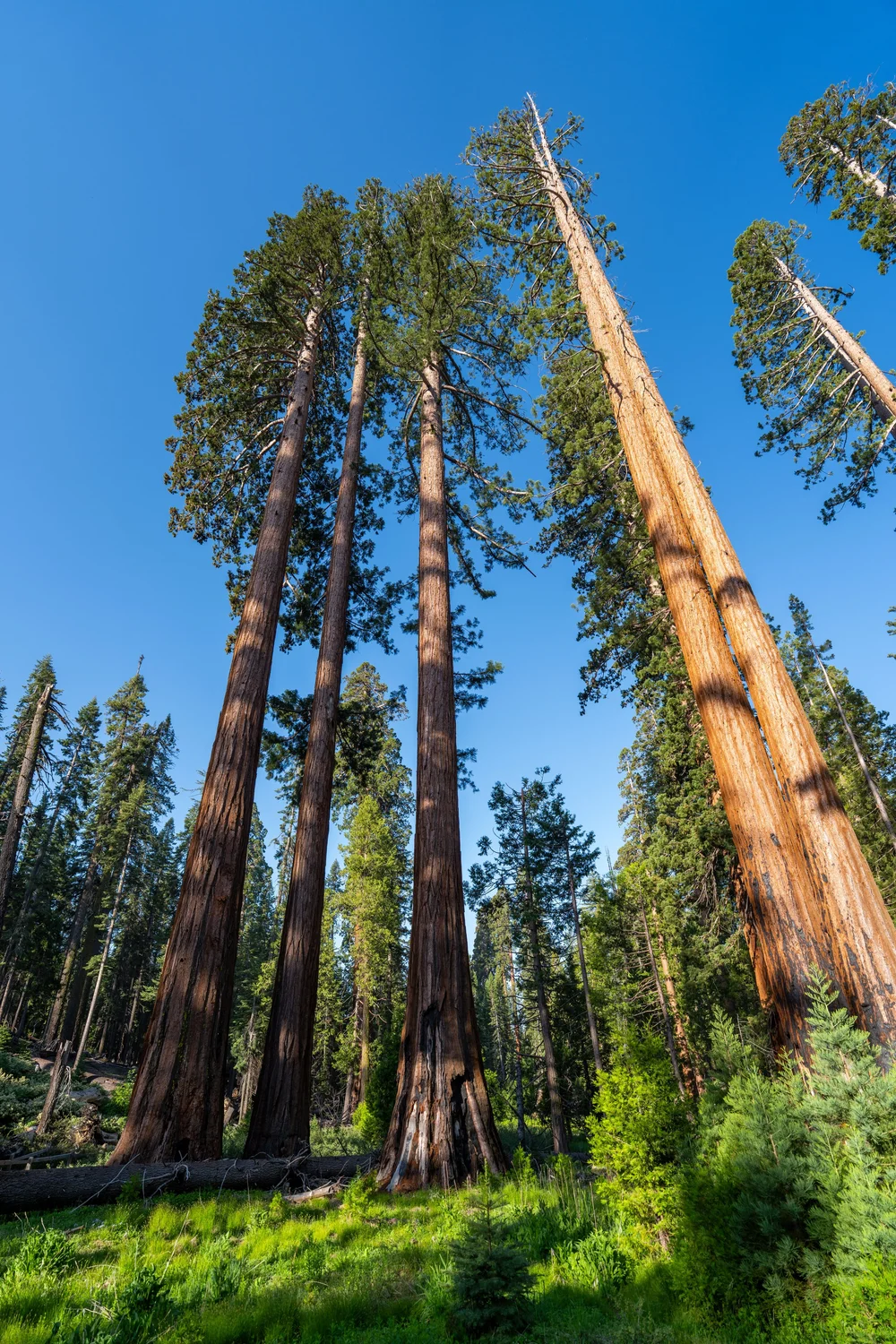 Blog | Explore, Discover, Engage — noahawaii