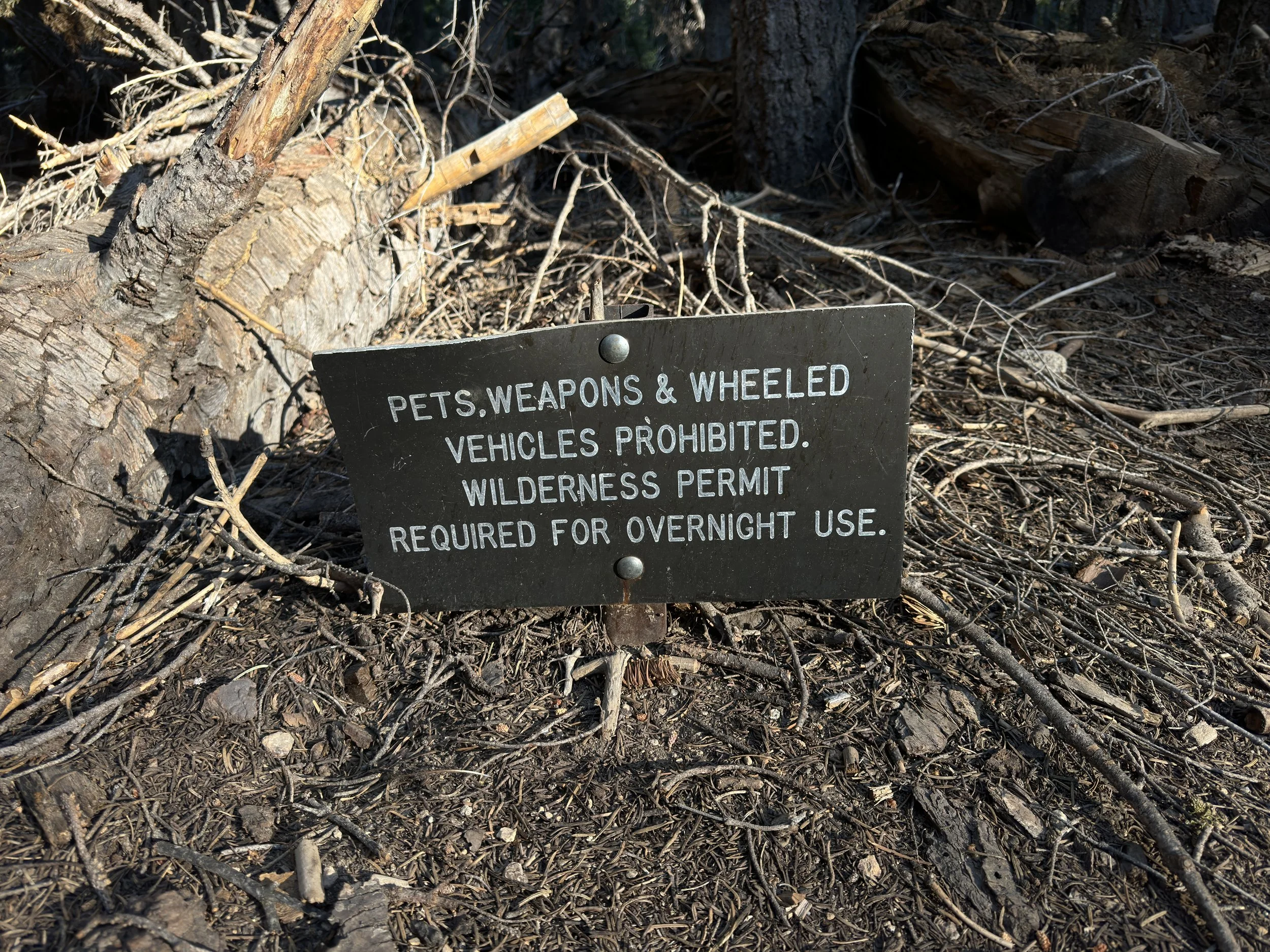 Hiking the Long Meadow Loop Trail in Sequoia National Park — noahawaii