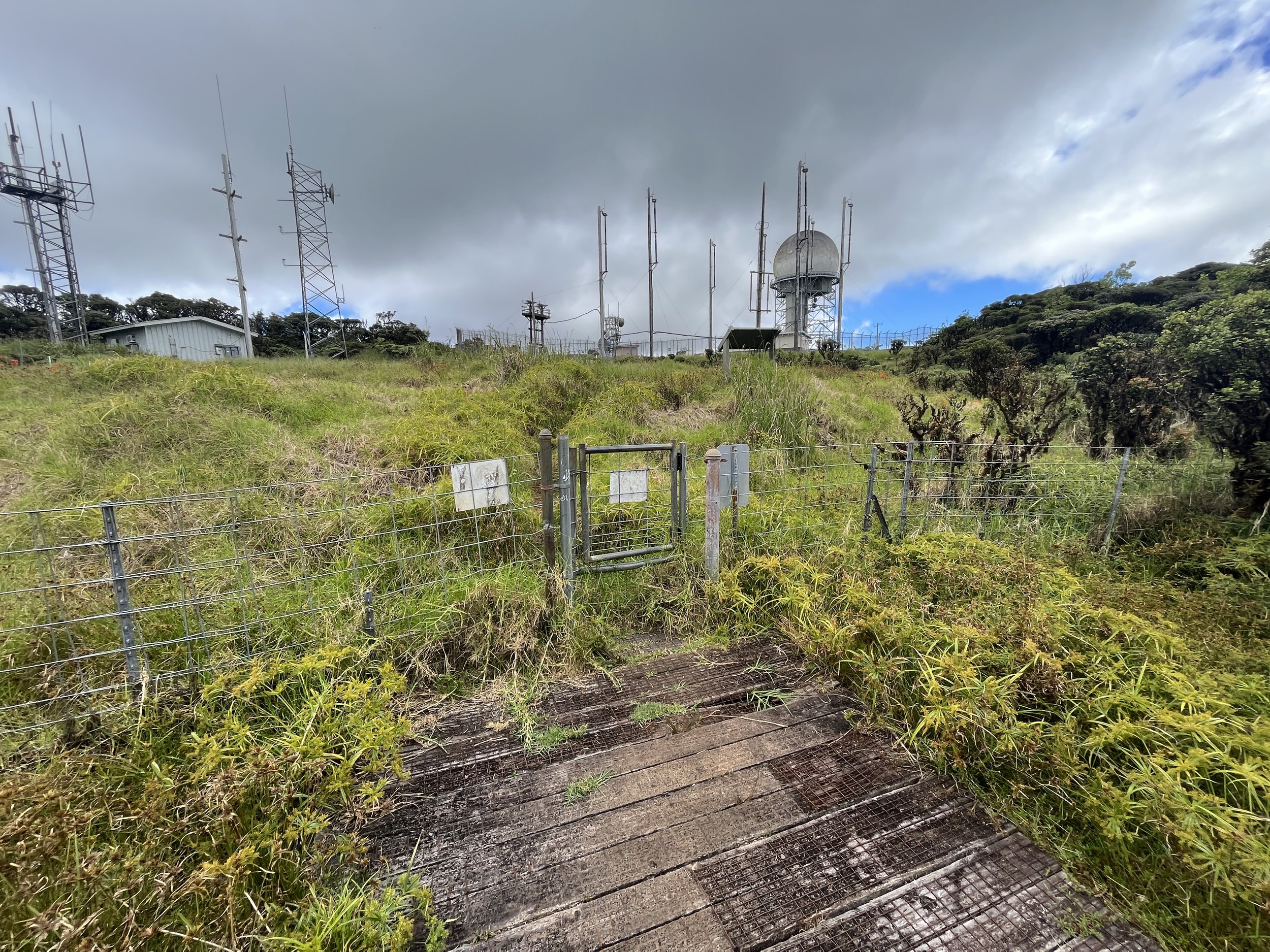 Hiking the Mt. Kaʻala Trail: The Tallest Point on Oʻahu — noahawaii