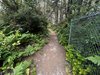 Hiking the Blacklock Point Sea Cliffs Trail on the Oregon Coast — noahawaii