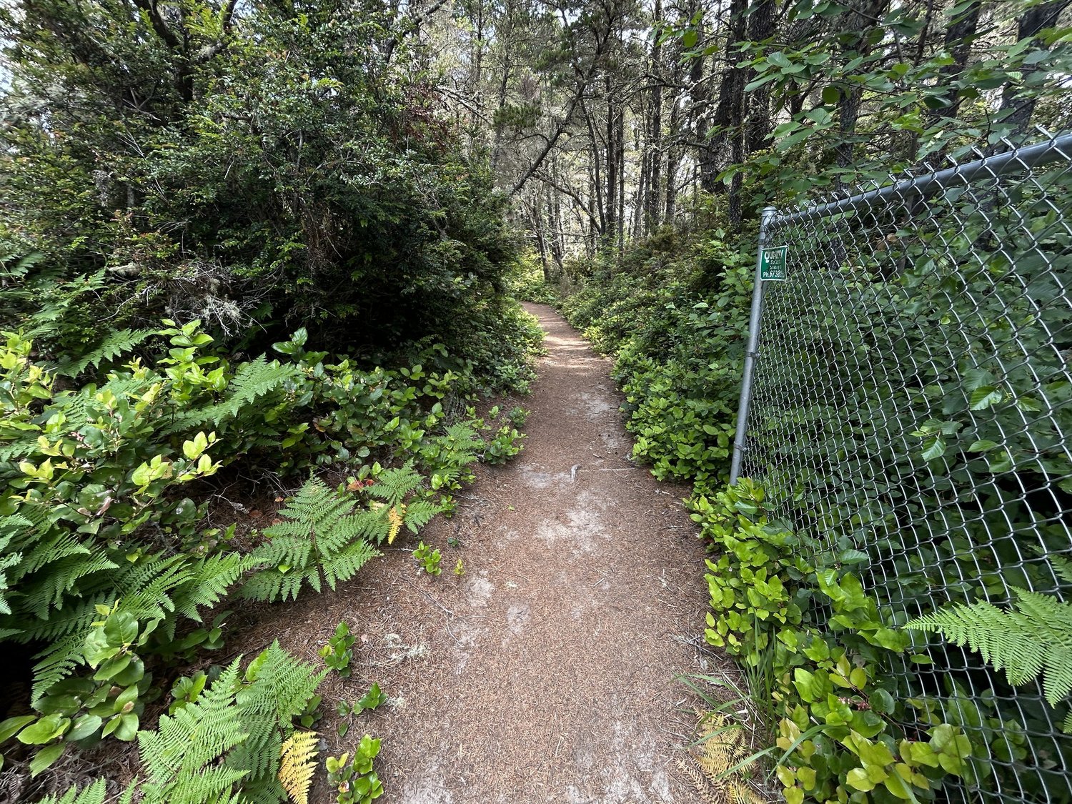 Hiking the Blacklock Point Sea Cliffs Trail on the Oregon Coast — noahawaii