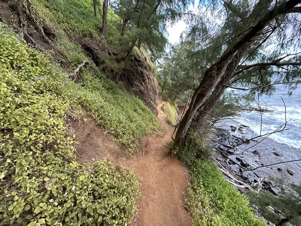 Hiking the Kaihalulu Red Sand Beach Trail in Hāna on Maui, Hawaiʻi ...