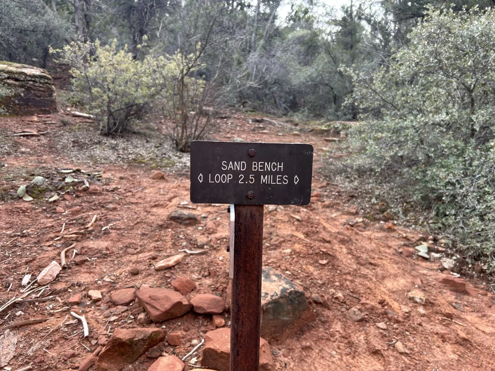 Hiking the Sand Bench Trail in Zion National Park — noahawaii
