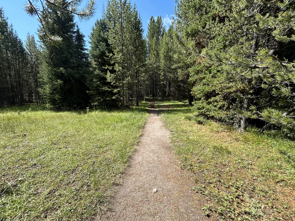 Hiking the Yellowstone Lake Overlook Trail in Yellowstone National Park ...